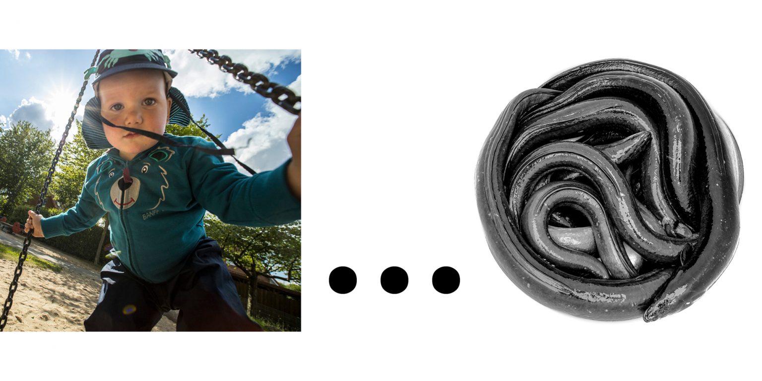 Ausstellung “Stille Post” – MV-FOTO e.V.